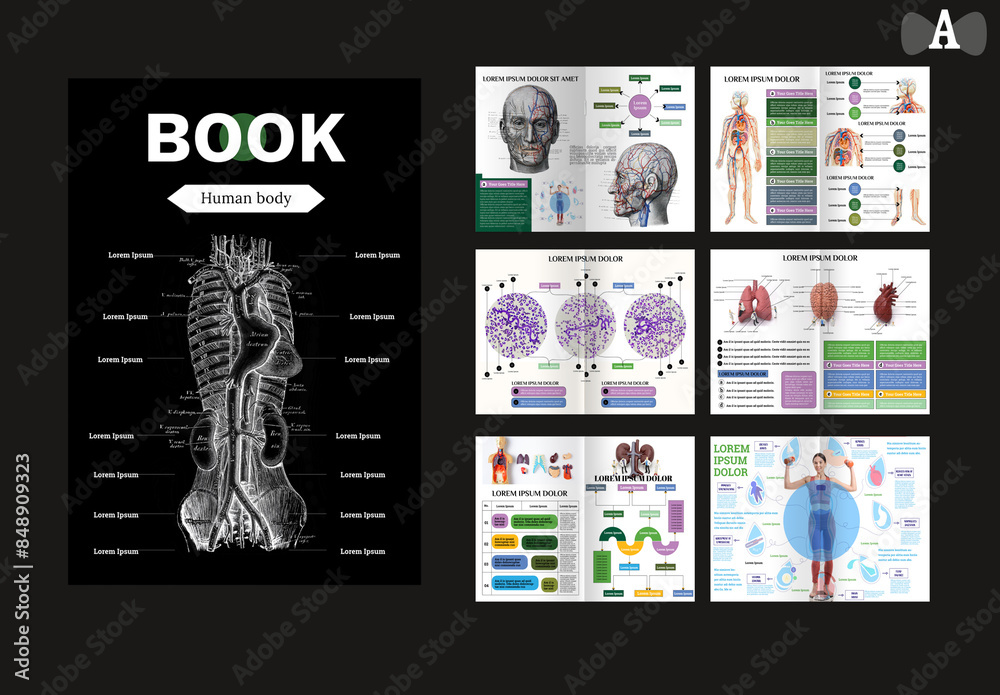 Human Body Book Magazine Template Stock Template | Adobe Stock