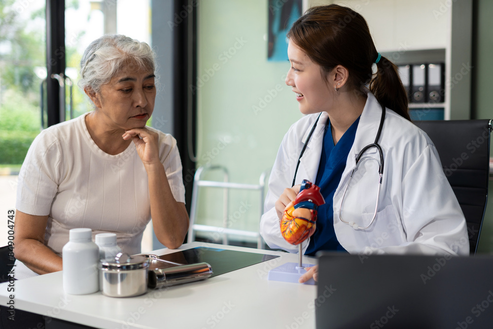 doctor shows a model of how the heart system works, doctors explaining ...