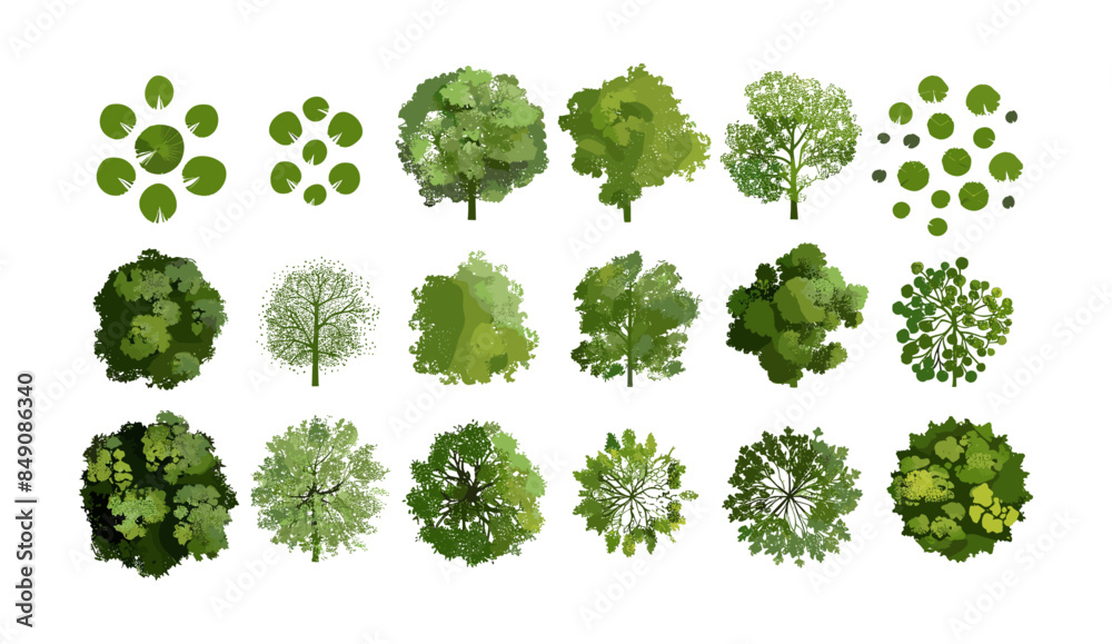 Vector top view tree isolated on white background for landscape ...