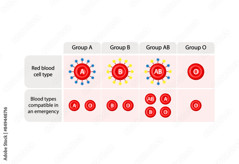 Blood types Compatibility. Blood donation, ABO Blood groups. four blood ...