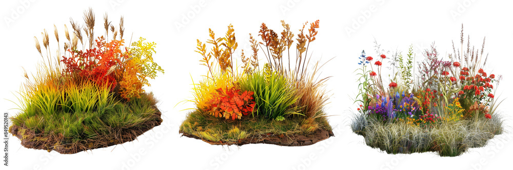Set of A panoramic view of a mixed prairie grass bed during golden hour ...
