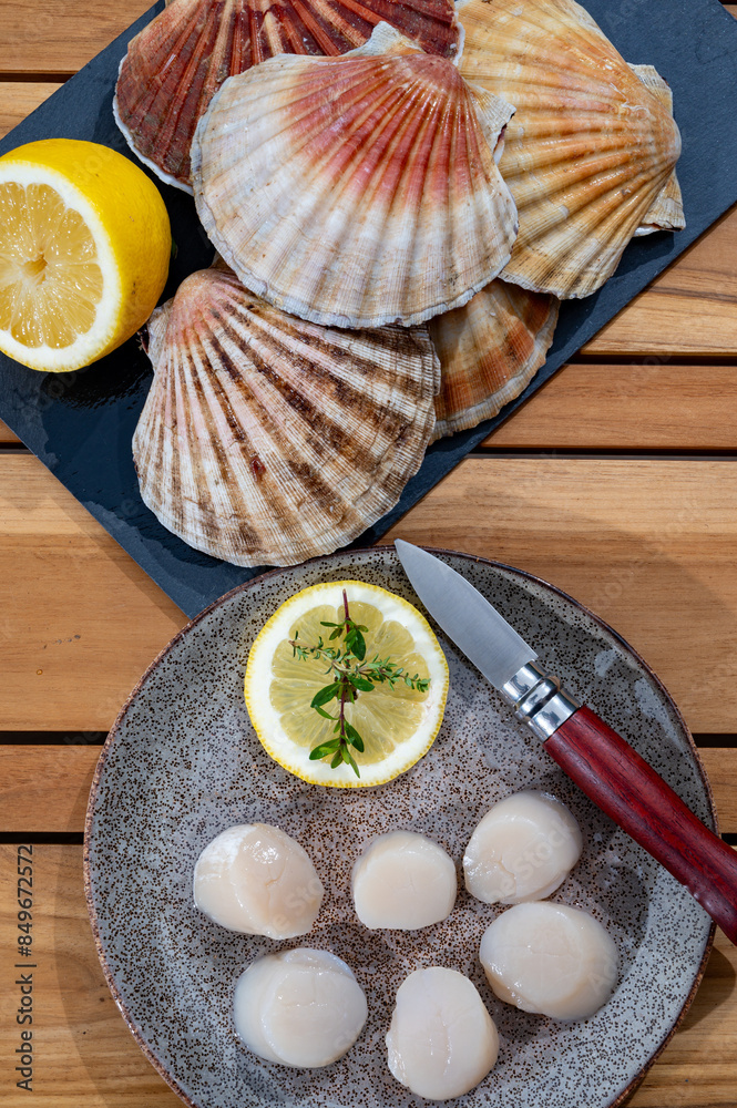 Atlantic bay scallops coquille St. James sea shells, catch of the day ...