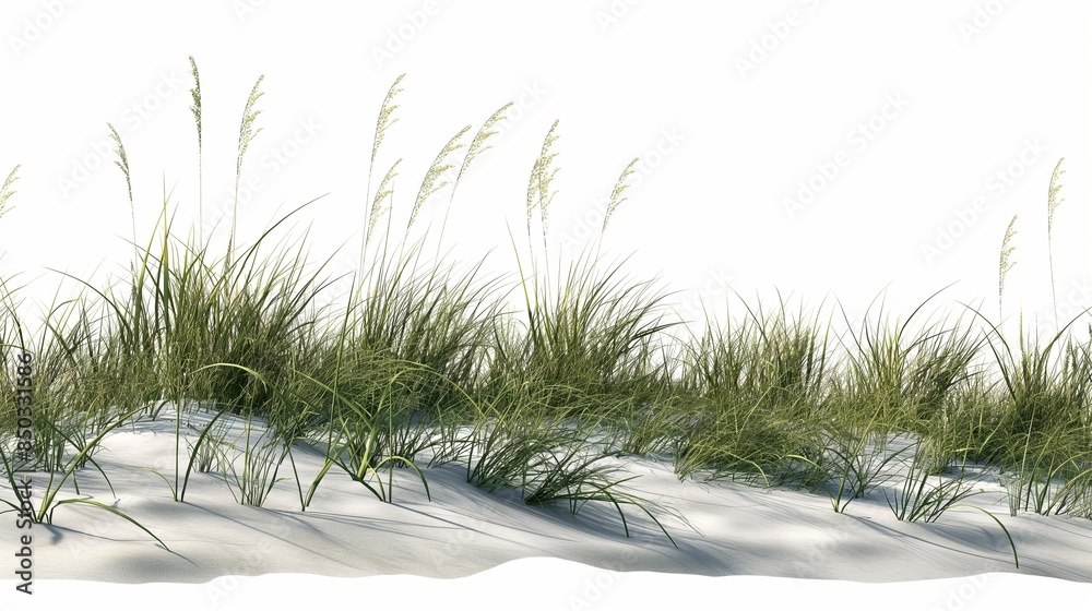 Realistic sea oats and beach grass forming a natural wave pattern, part ...