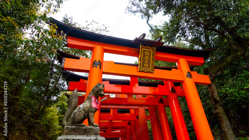 JAPAN, KYOTO – April 2024: the famous torii red wooden gates at Fushimi ...