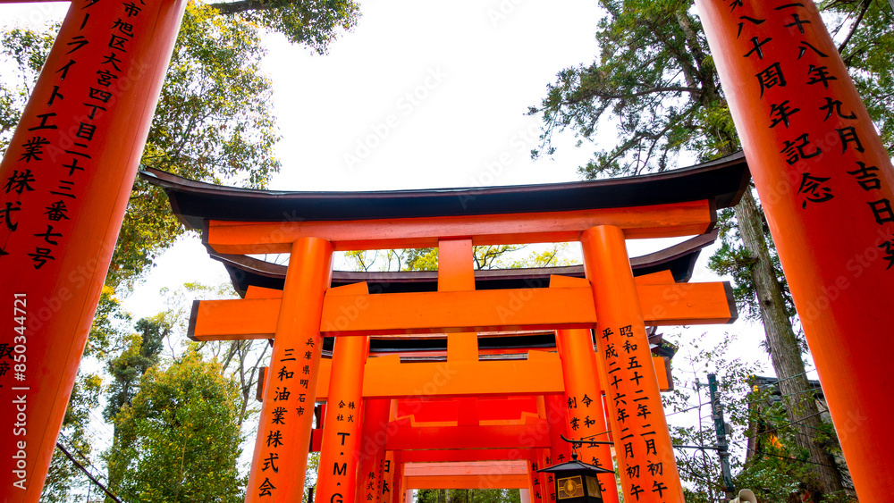 JAPAN, KYOTO – April 2024: the famous torii red wooden gates at Fushimi ...