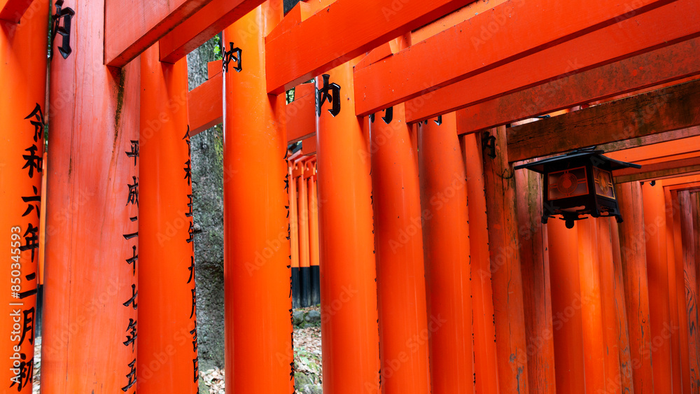 JAPAN, KYOTO – April 2024: the famous torii red wooden gates at Fushimi ...