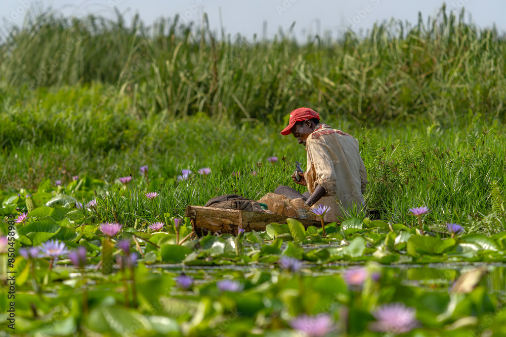 African fisherman in a boat lowered the fish net into the water ...
