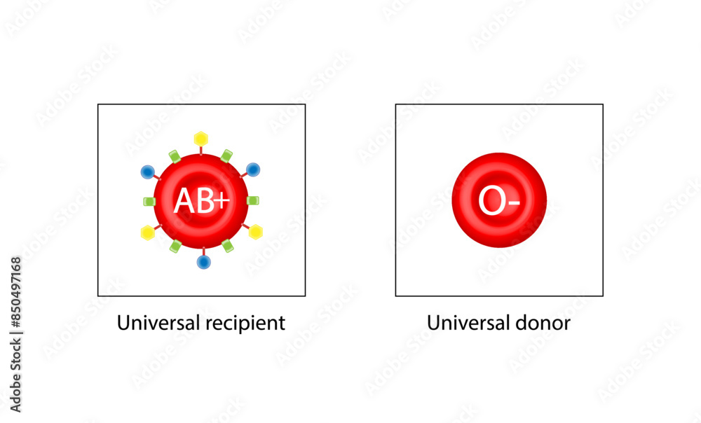 AB positive blood type, universal recipient, O negative, universal ...
