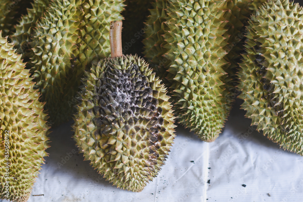 Durian fruit for sale to buyers in the Thai fruit market Durian is known as the fruit king of ...
