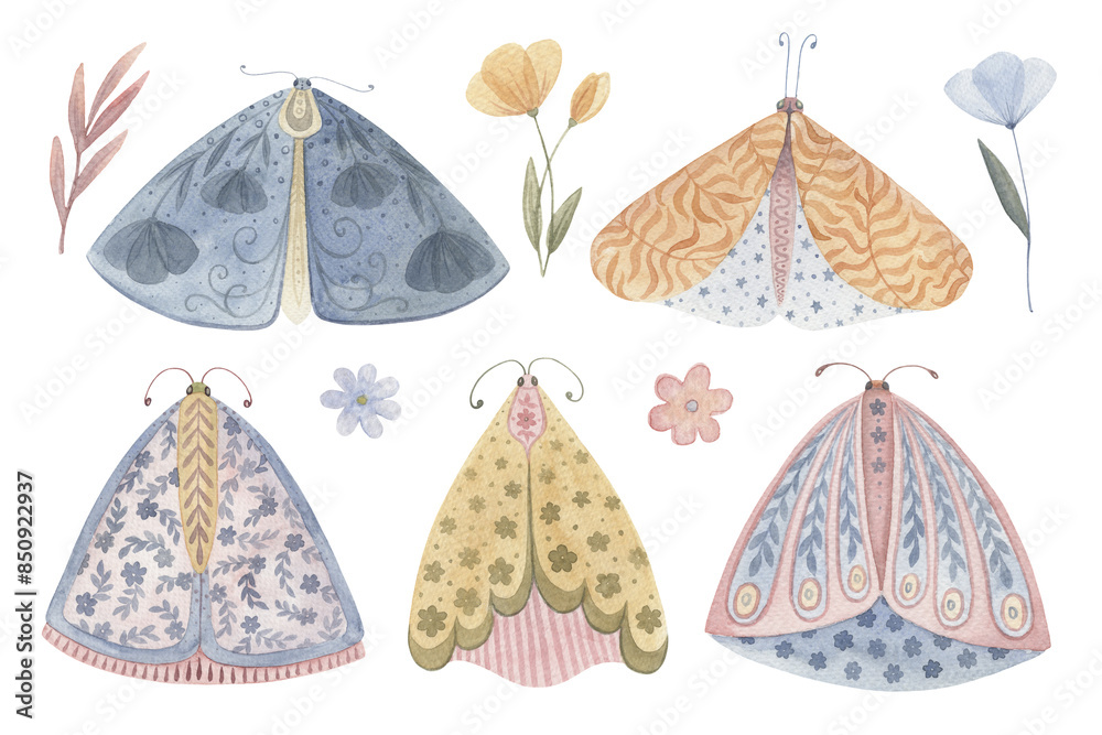 Butterflies Watercolor Set with Boho butterfly and flowers hand drawn ...