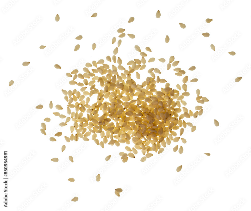 Scattered Grains of Sesame. Sesame Seeds Chaotic Spread out. No ...