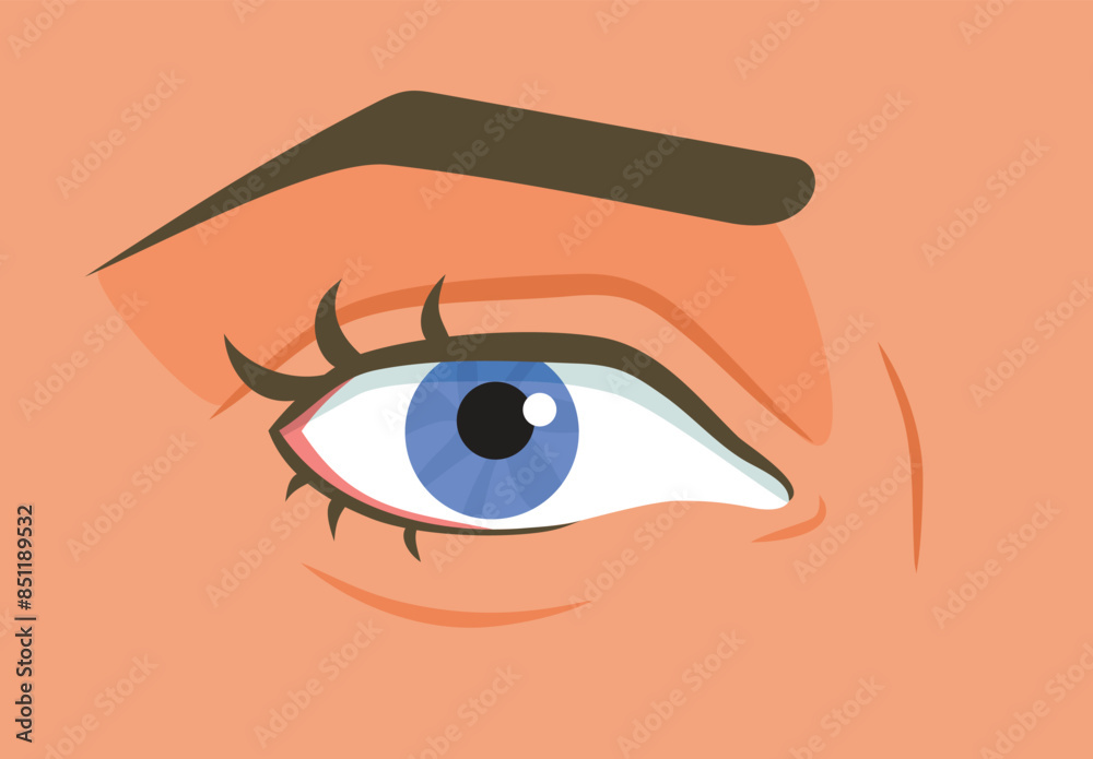 Detail of a Human Eye Vector Cartoon illustration. Healthy eyeball with ...