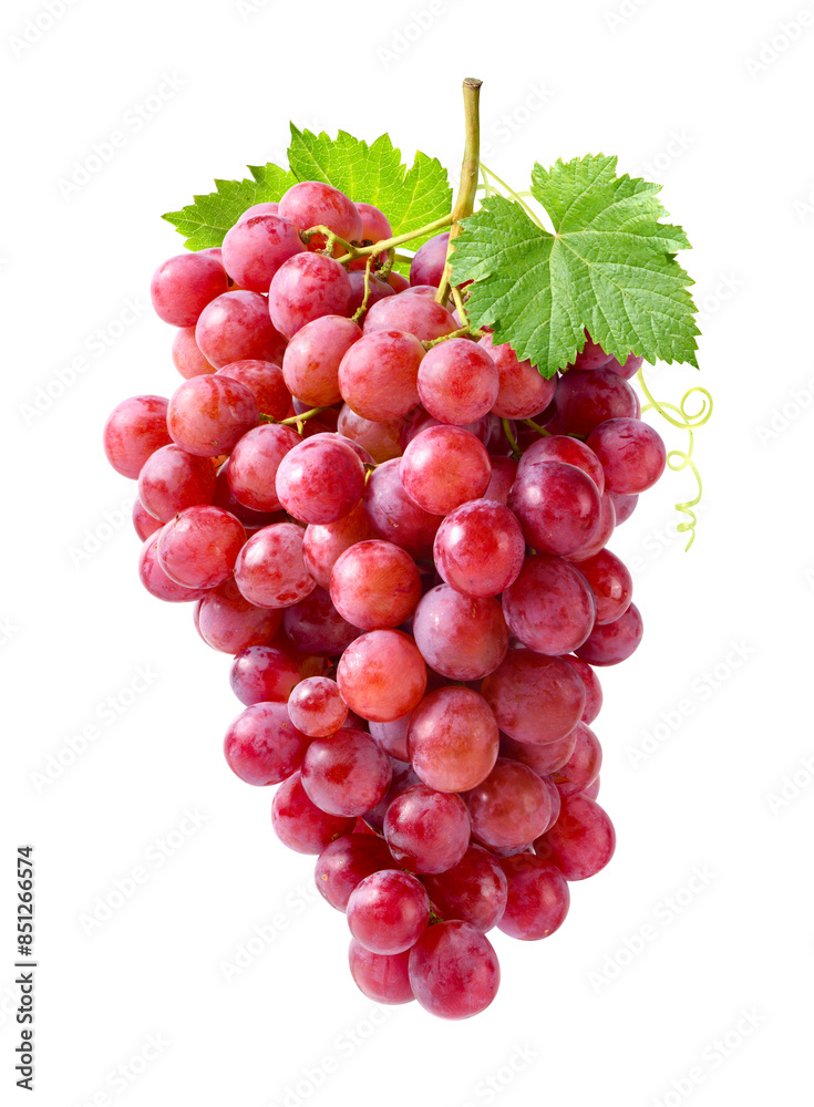 Poster Red grape cluster with leaves isolated on white background ...