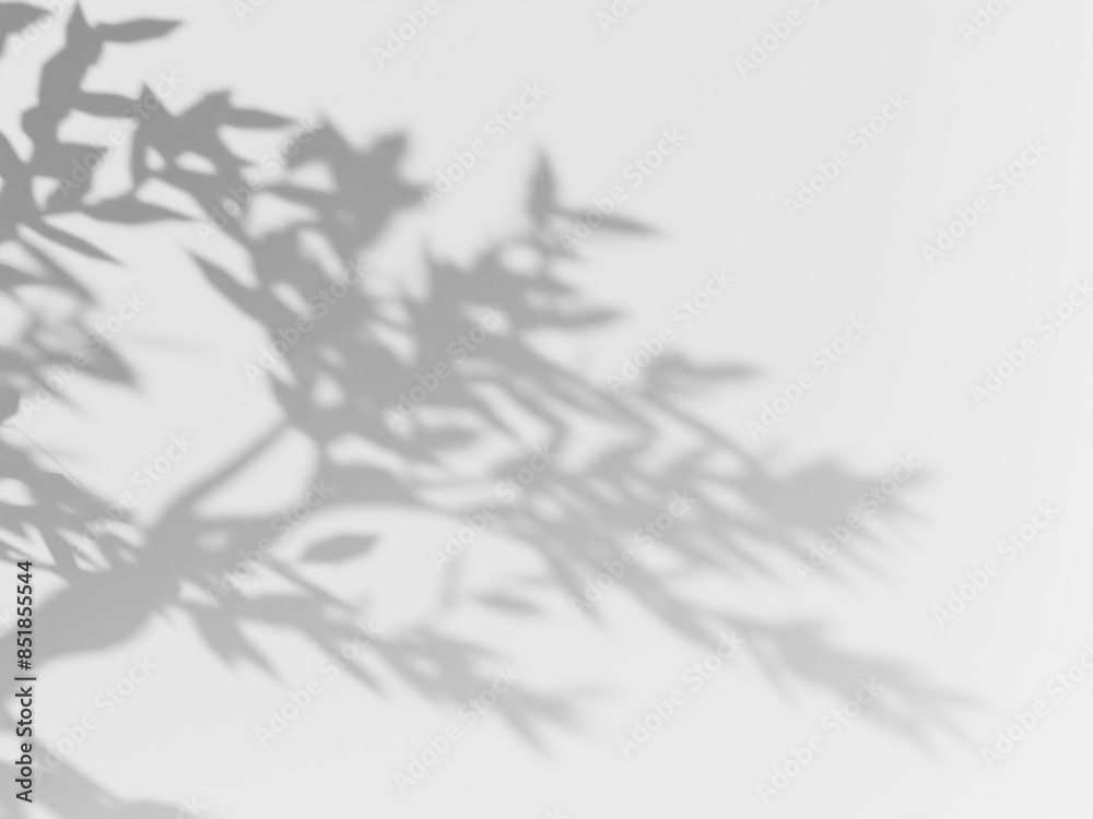 Foto de Leaf Tree Shadow Overlay - 4K UHD White Background Image - Gobo ...