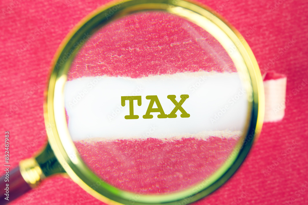 Individual income tax return form for payment to Government. Tax text ...