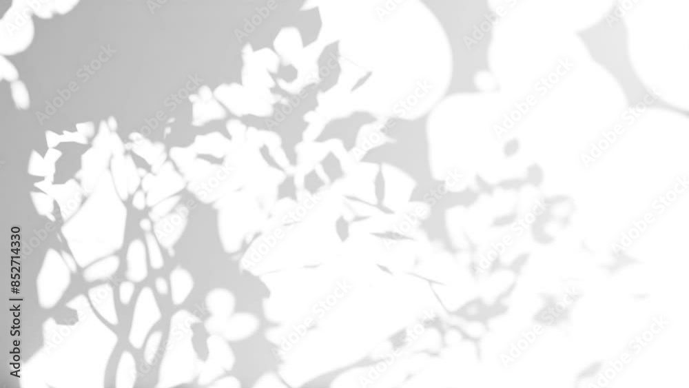Tree in Wind Shadow Overlay - 4K UHD Image White Background - Gobo ...