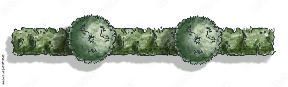A hedge of trimmed bushes and trees. Top view close-up topiary shapes ...