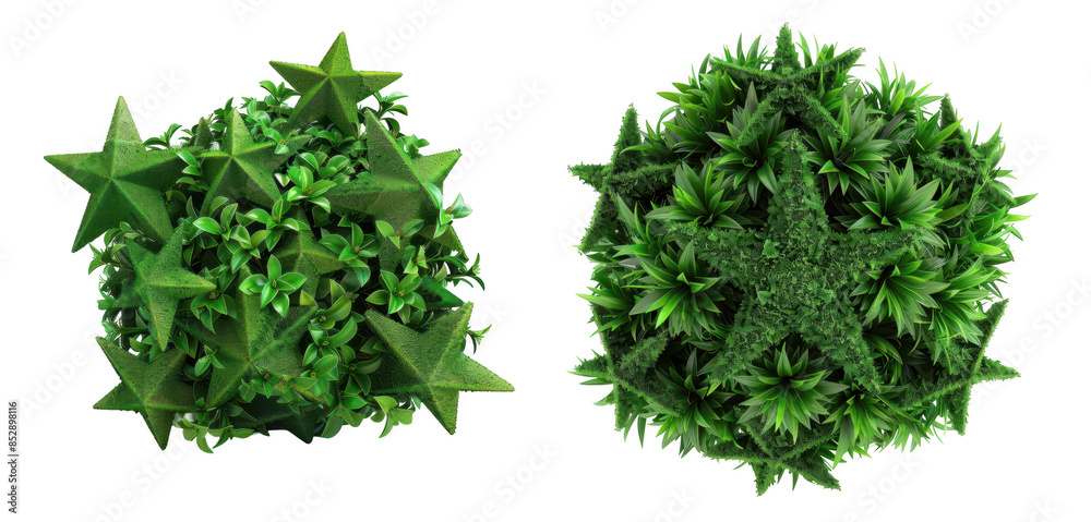 Star Plant Spheres, Green star-shaped plants arranged in spherical form ...