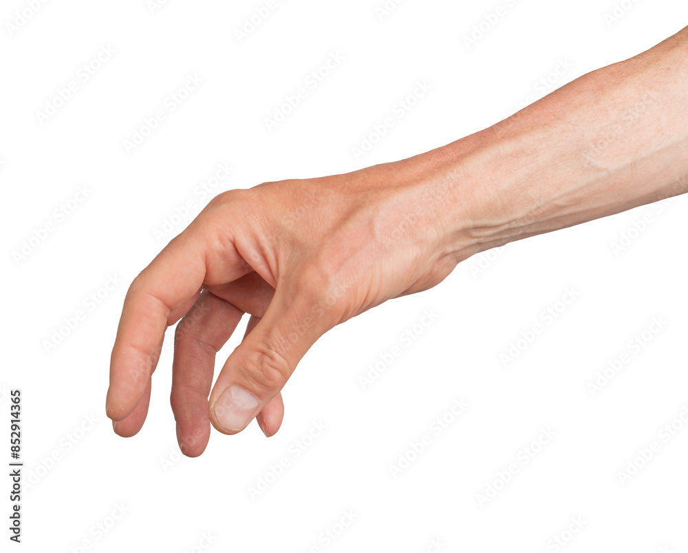 Taking and grabbing, hand gesture, sign isolated on white background ...