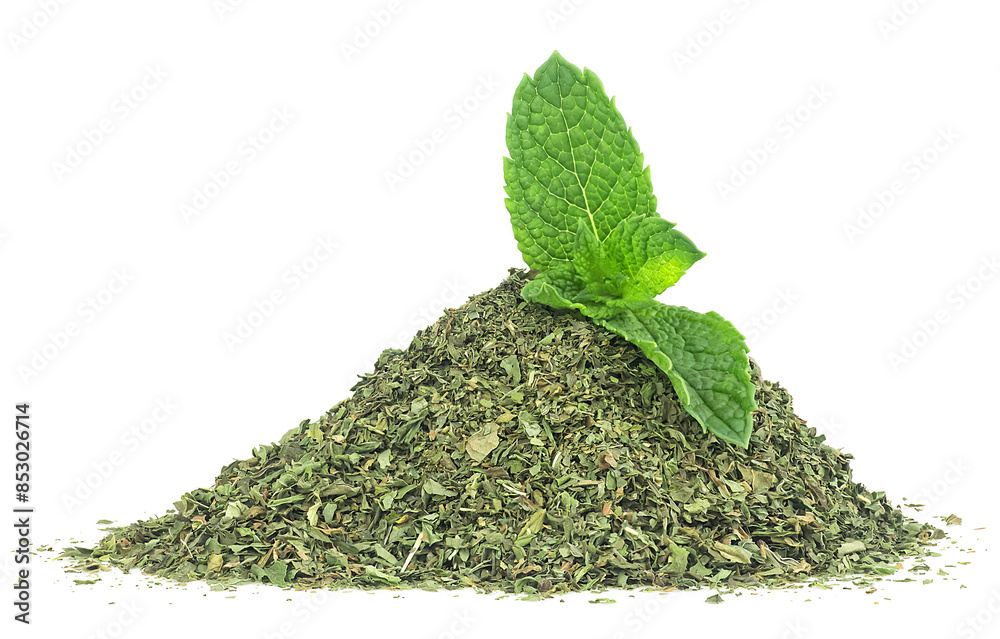 Pile of dried mint with fresh mint leaves isolated on a white ...