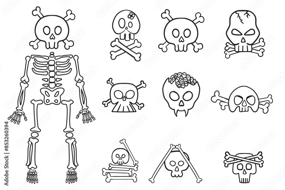 Halloween skeleton and headSkeleton parts Svg, Skeleton Png, Skeleton ...