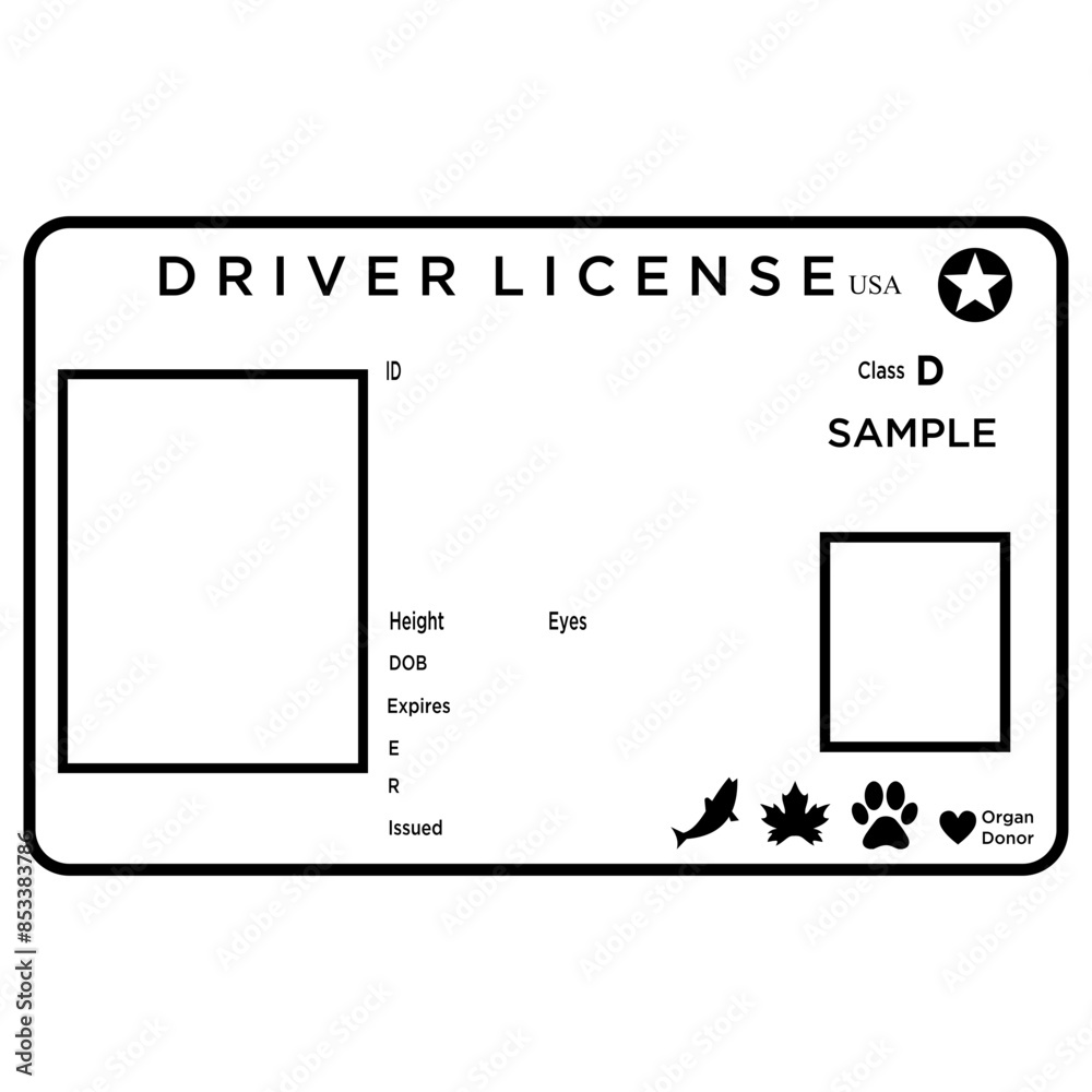 Blank Drivers Licence Template Drivers Licence ID Drivers Licence Stock ...
