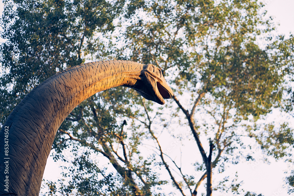 The dinosaur was a sauropod, one of the largest. The head of a ...