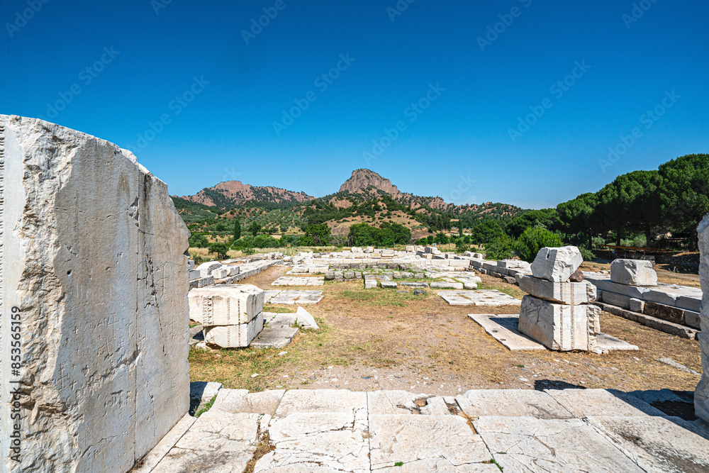 Scenic views of the Temple of Artemis at Sardis, the fourth largest ...