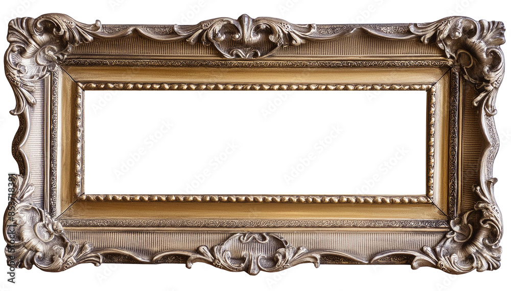 Luxurious Vintage Photo Frame with Ornate Border on Transparent ...