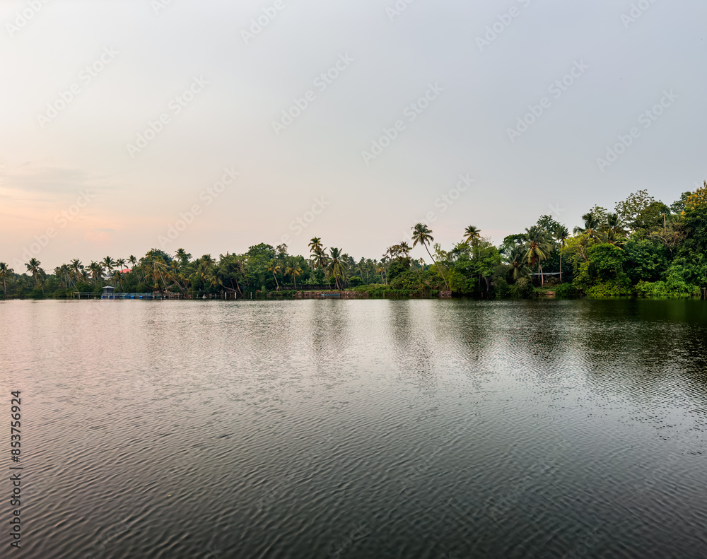 Beautiful view of the kochi backwaters in the indian state of Kerala ...