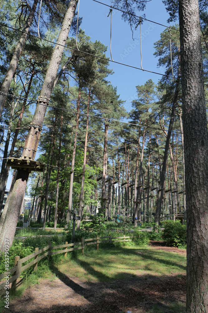 Tarzan treetop adventure park in Dzintari Forest Park in Jurmala ...