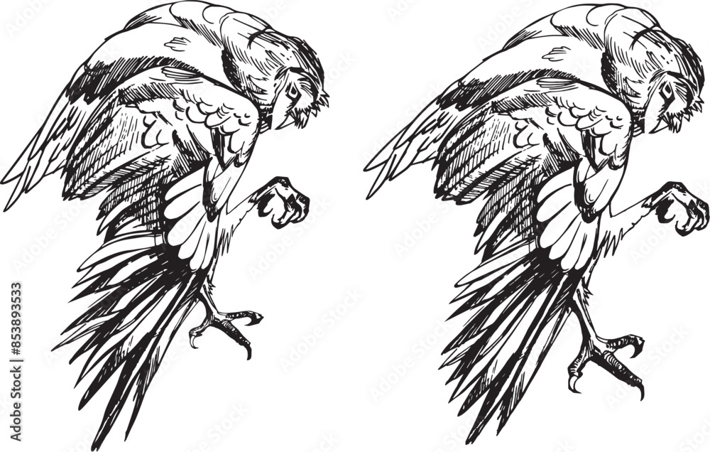 Black and white monochrome graphics hand drawn ink tattoo engraving ...