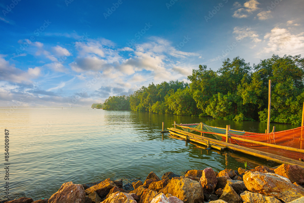 Coastal lines and mangrove forests,Sundarbans, northeastern India and ...