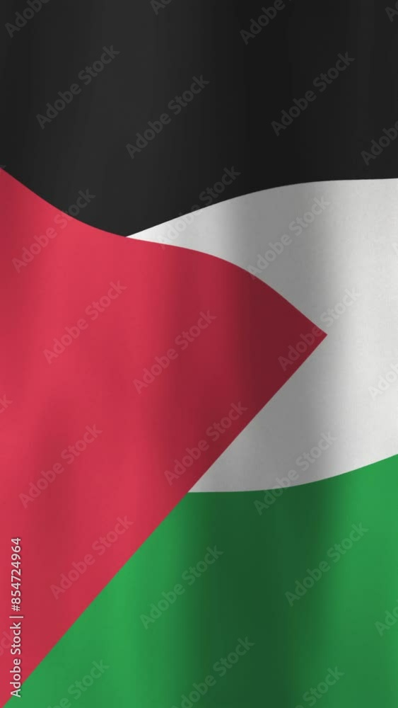 Waving Flag of Palestine, Vertical Fill Video, HD Animated Background ...