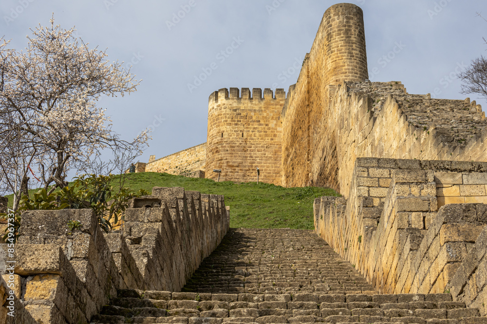 An ancient fortification in the North Caucasus. The entrance to the ...