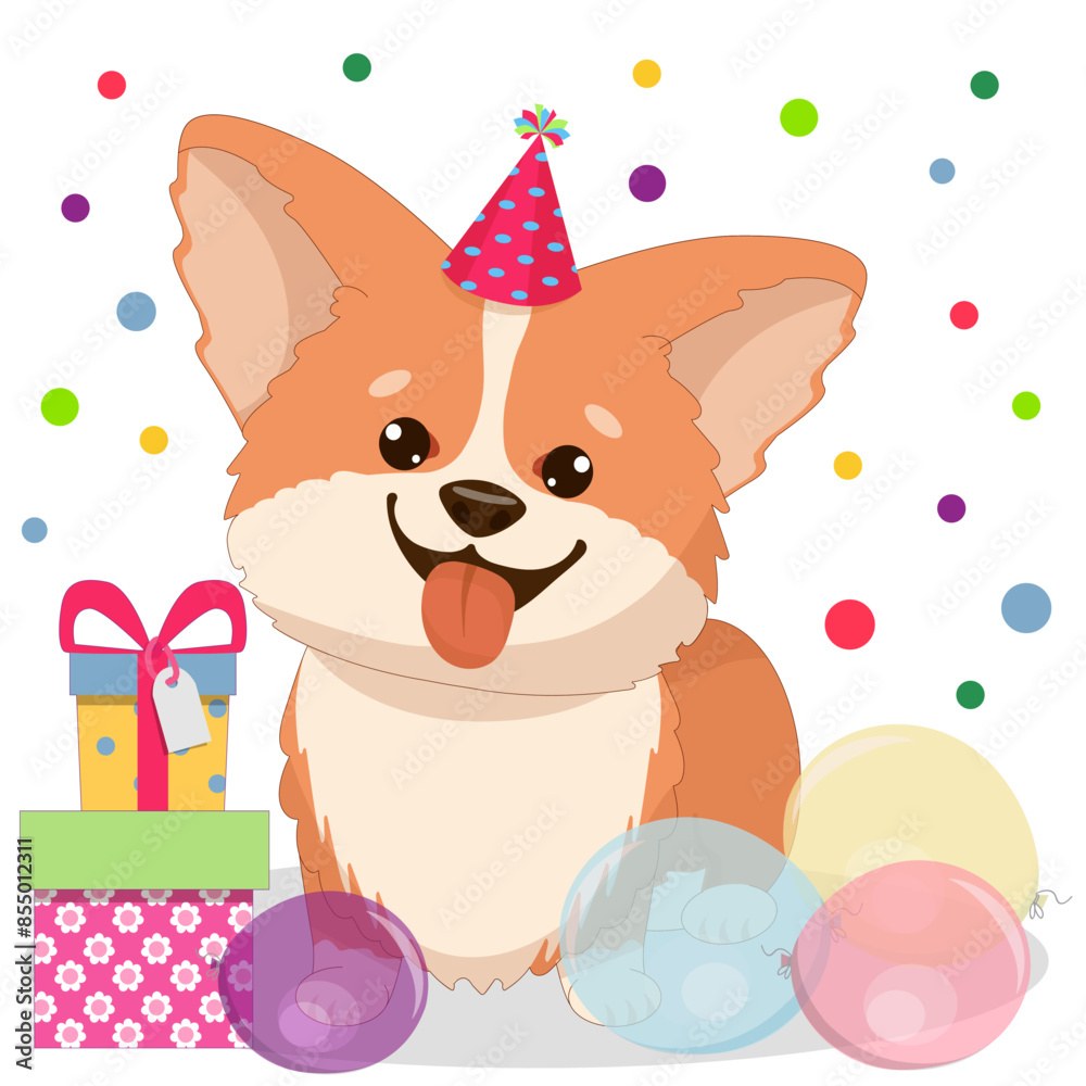 Happy friendly corgi in a cap with balloons and gifts, isolated on a ...