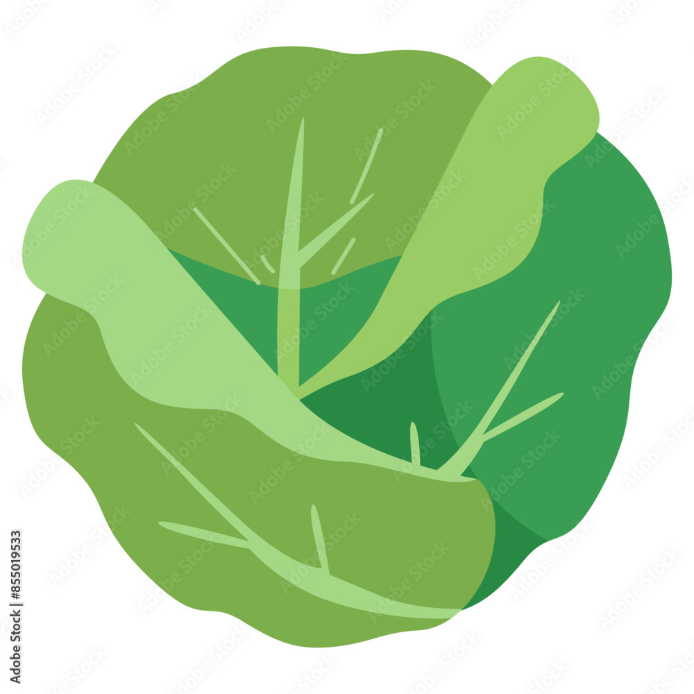 Cabbage vegetable vector illustration, kubis clipart image, kol cartoon ...