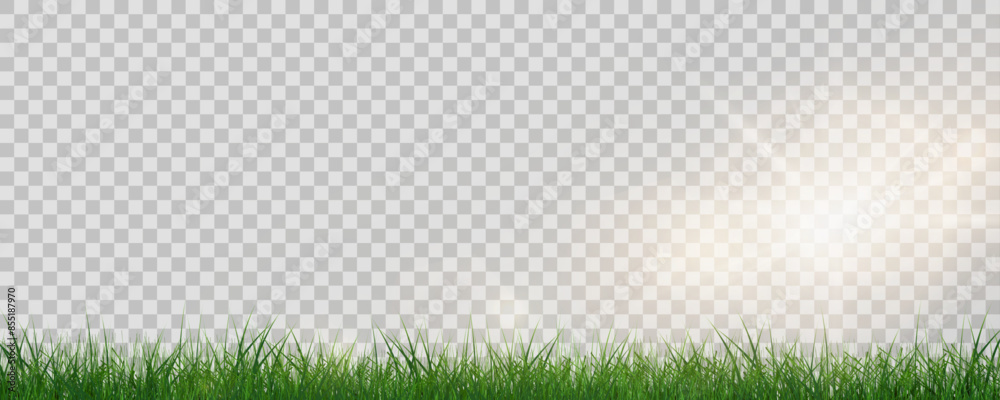 Grass border, vector illustration. Vector grass, lawn. Grass png, lawn ...