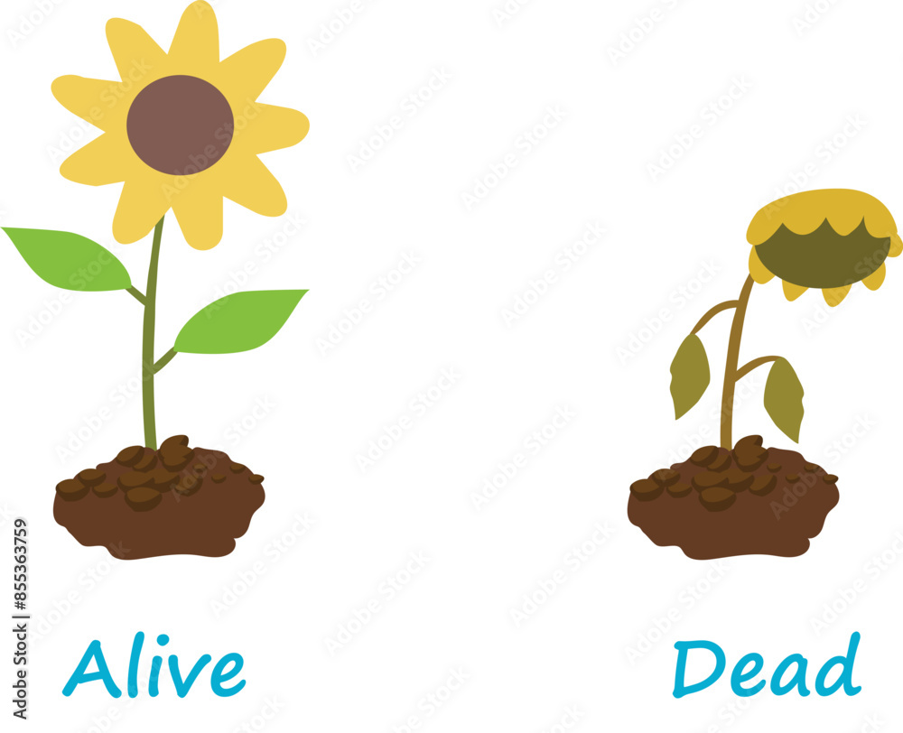 Opposite adjective antonym words alive and dead illustration of ...