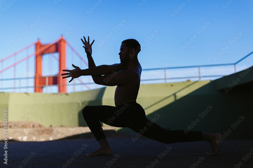 Silhouette of male ballet dancer doing a majestic pose in front of the ...