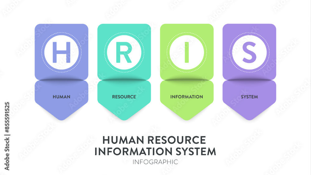 HRIS or Human resource information system framework strategy ...