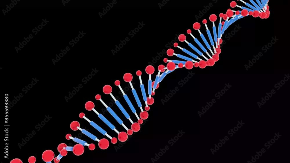 A 3D animated model of a DNA double helix rotates on a black background ...