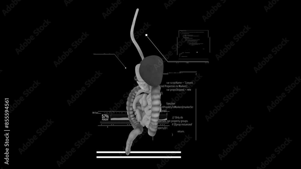 This video provides a detailed, animated 3D model of the human ...