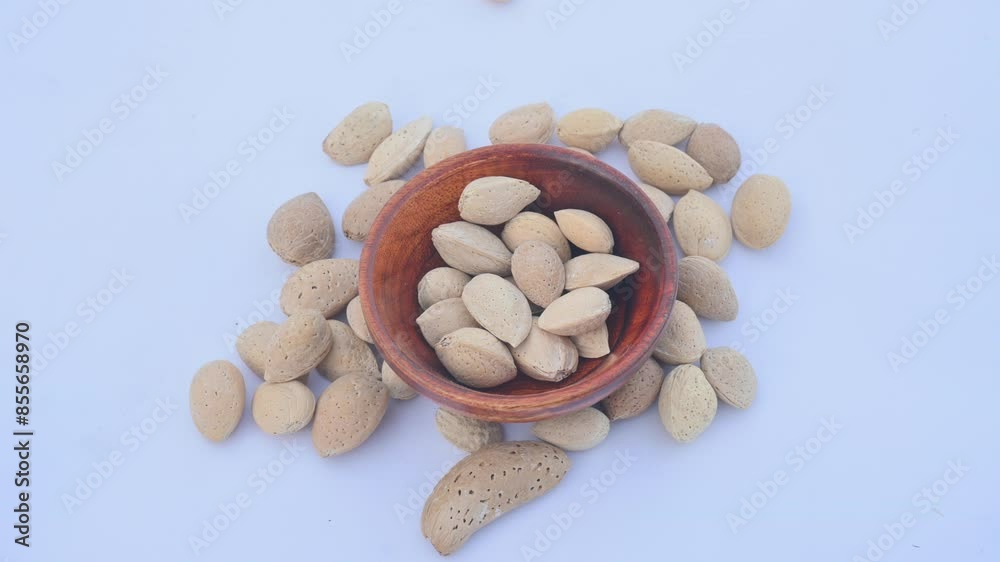 Almond with shell. It's other name Prunus amygdalus and Prunus dulcis ...