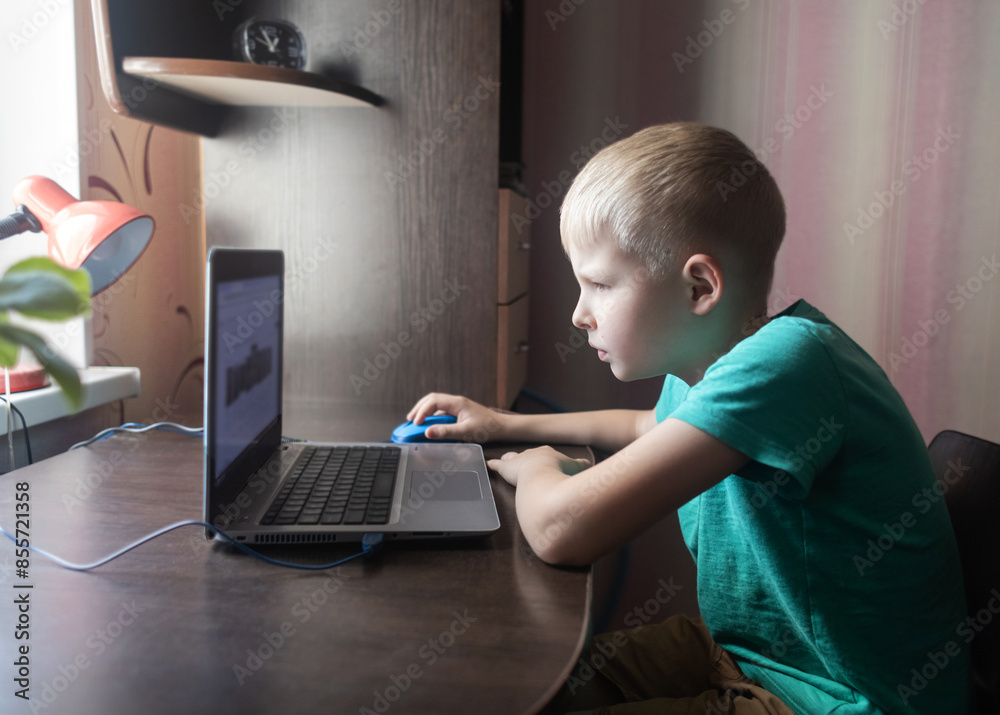 The boy is sitting on a chair in front of the computer. Correct and ...