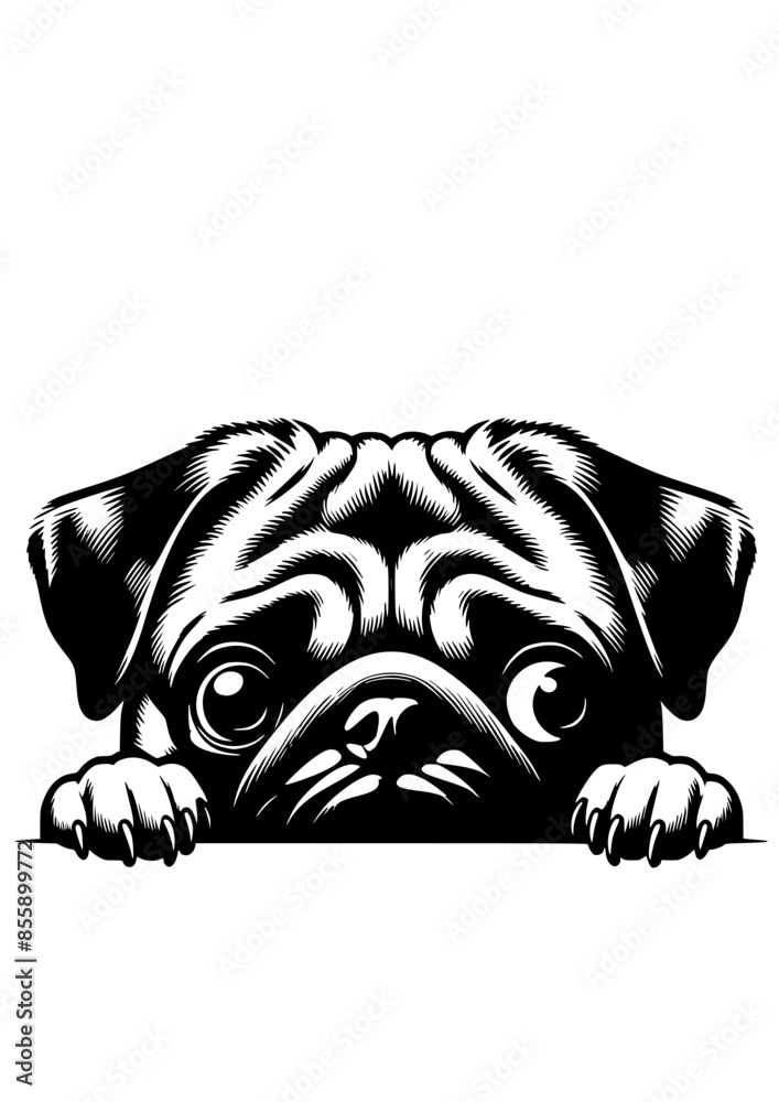 Pug SVG, Dog Breed SVG, Dog SVG, Pet SVG, Dog Lover SVG, Peeking Animal ...