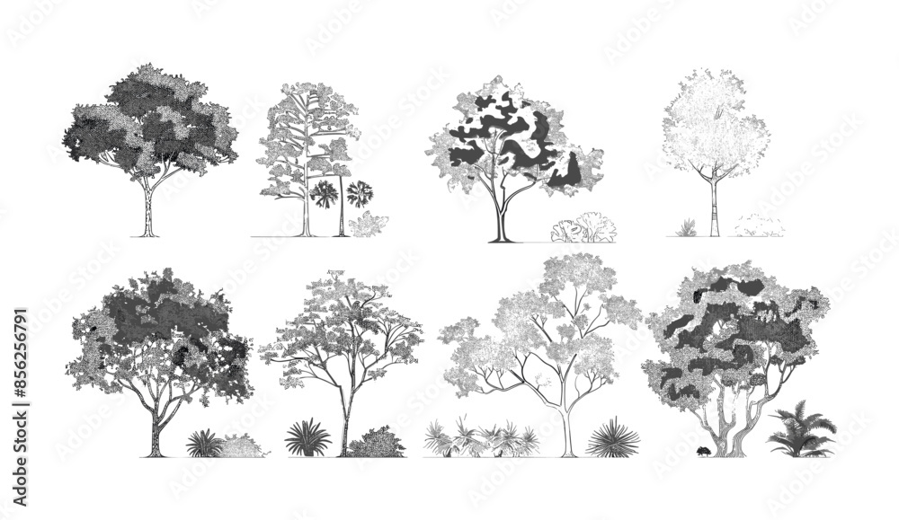Architectural rendering, garden design, natural landscape vector ...