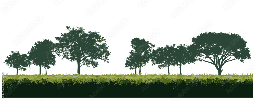 Vector illustration of outdoor park, field of grass silhouette trees ...