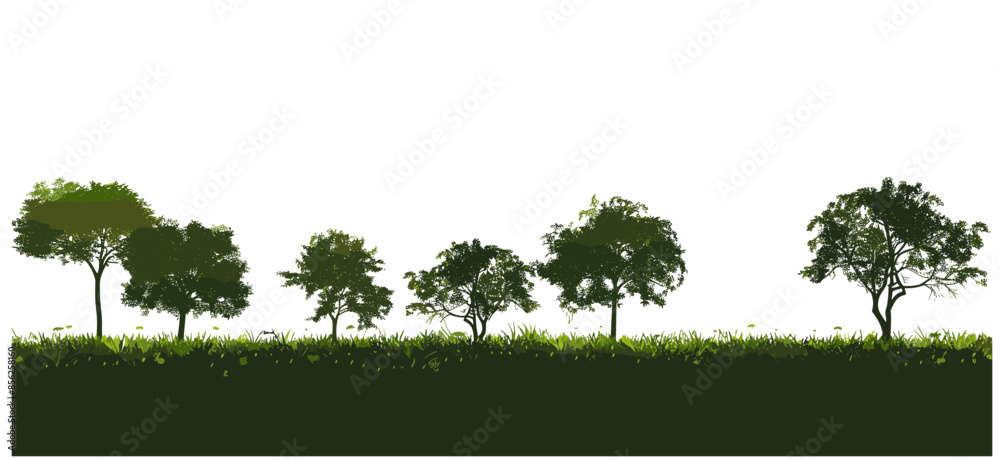 Vector illustration of forest silhouette trees isolated, evergreen ...