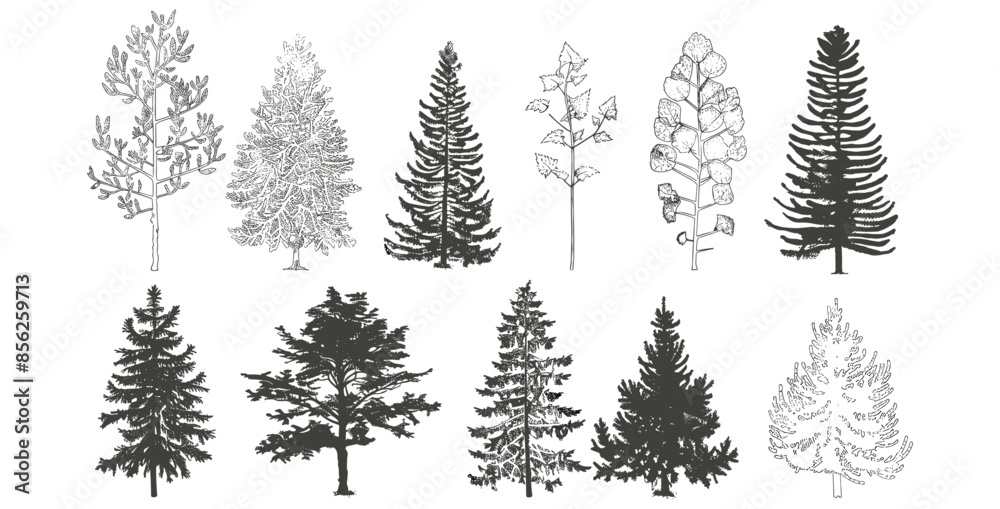 Minimal style pine tree line set, side view set of graphics trees ...